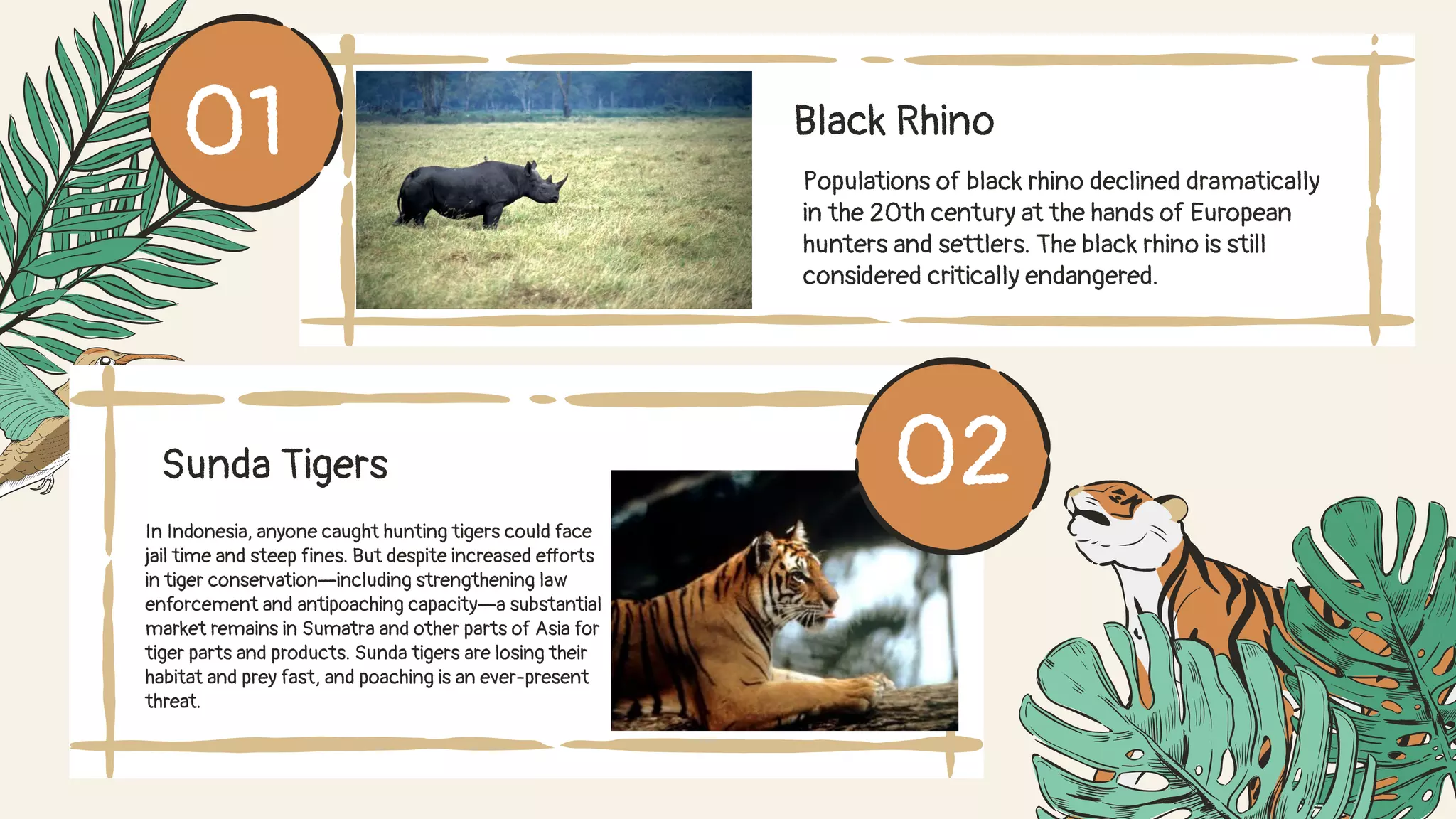 Endangered Species.pdf