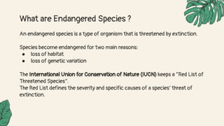 Endangered Species.pdf | Zoos & Aquariums | Attractions