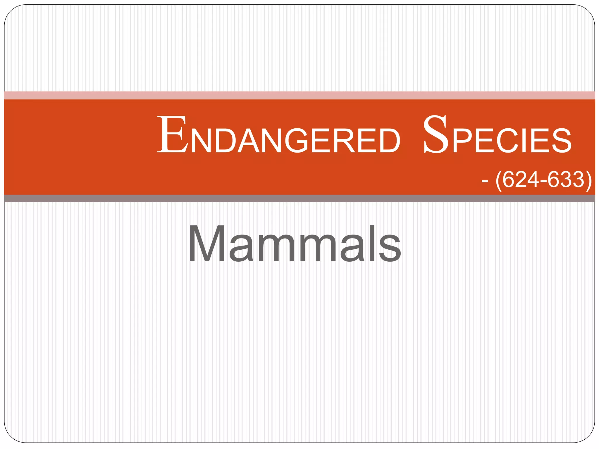 Endangered Species - Mammals | PPTX