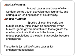 Endangered Species - Mammals | PPTX