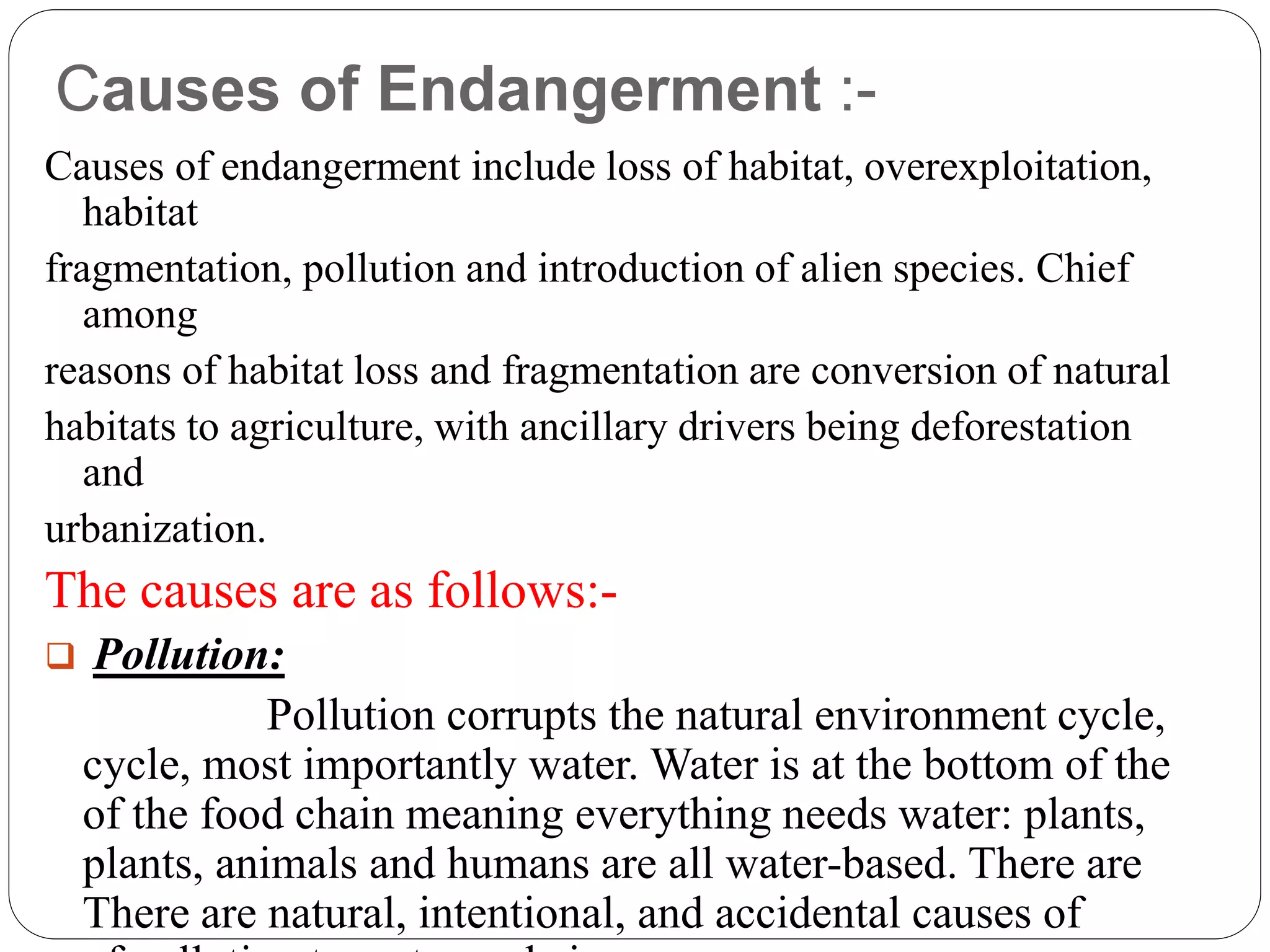 Endangered Species - Mammals | PPTX