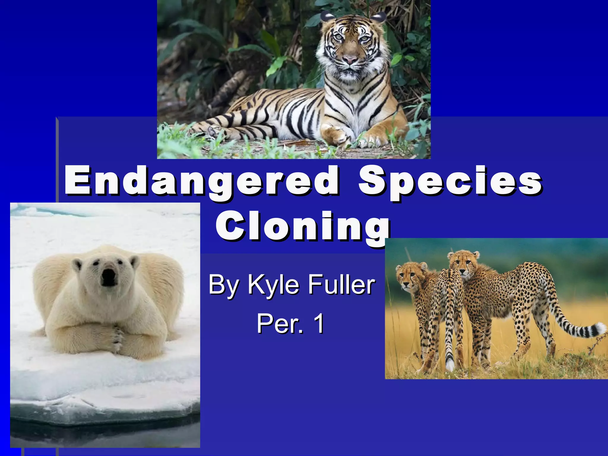 Endangered species cloning | PPT