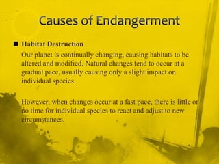 Endangered species | PPTX