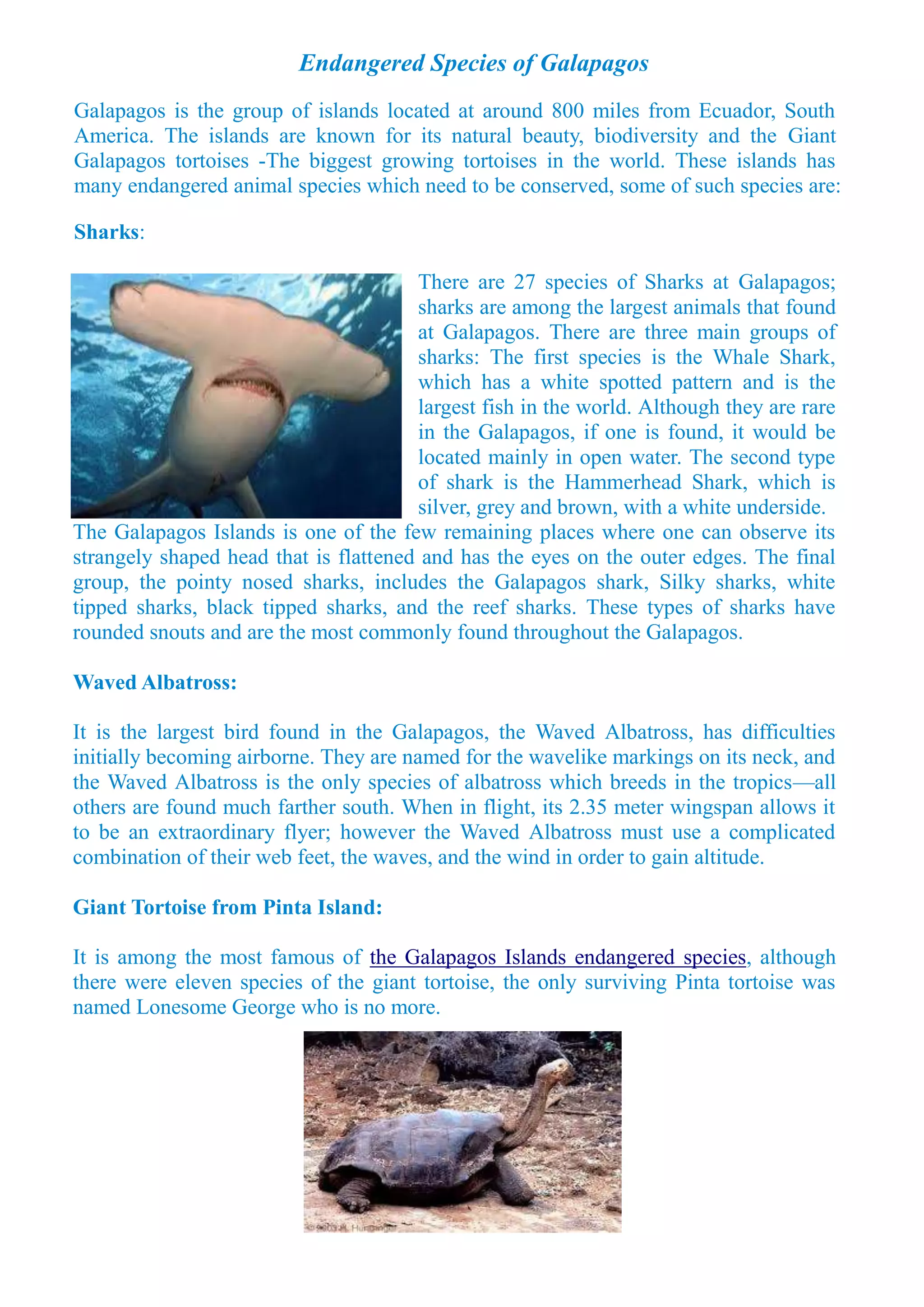 Endangered species of Galapagos | DOCX
