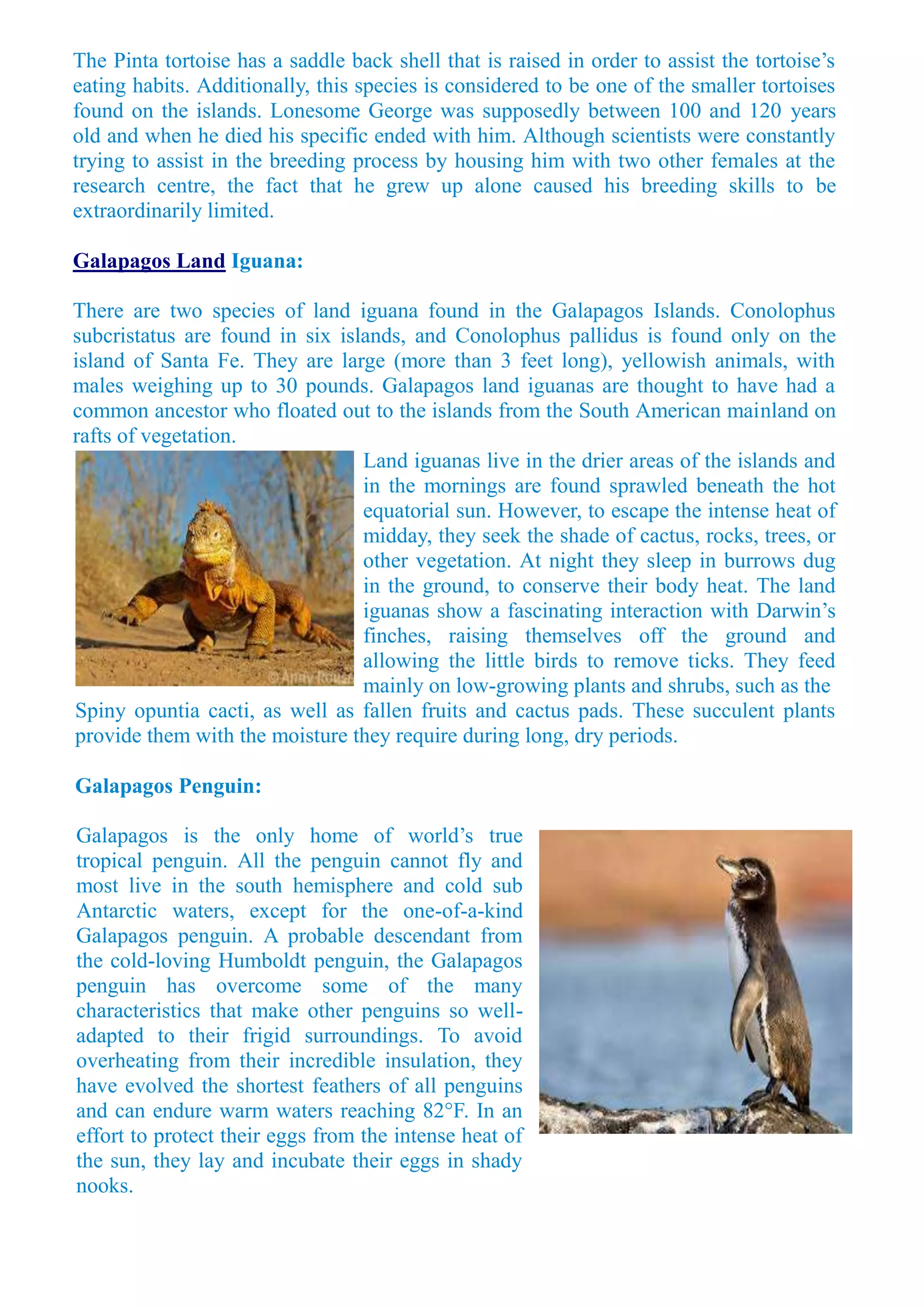 Endangered species of Galapagos | DOCX