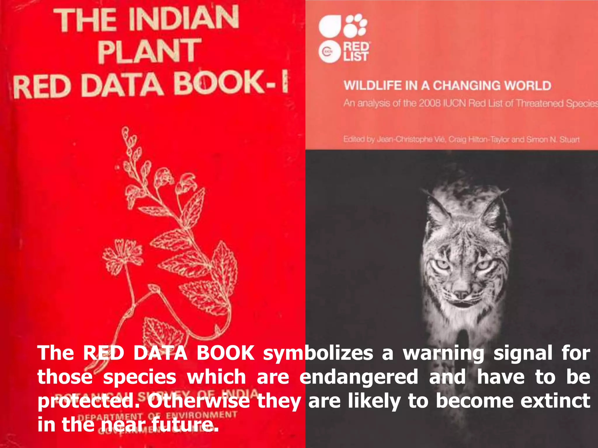 Endangered species of india | PPTX