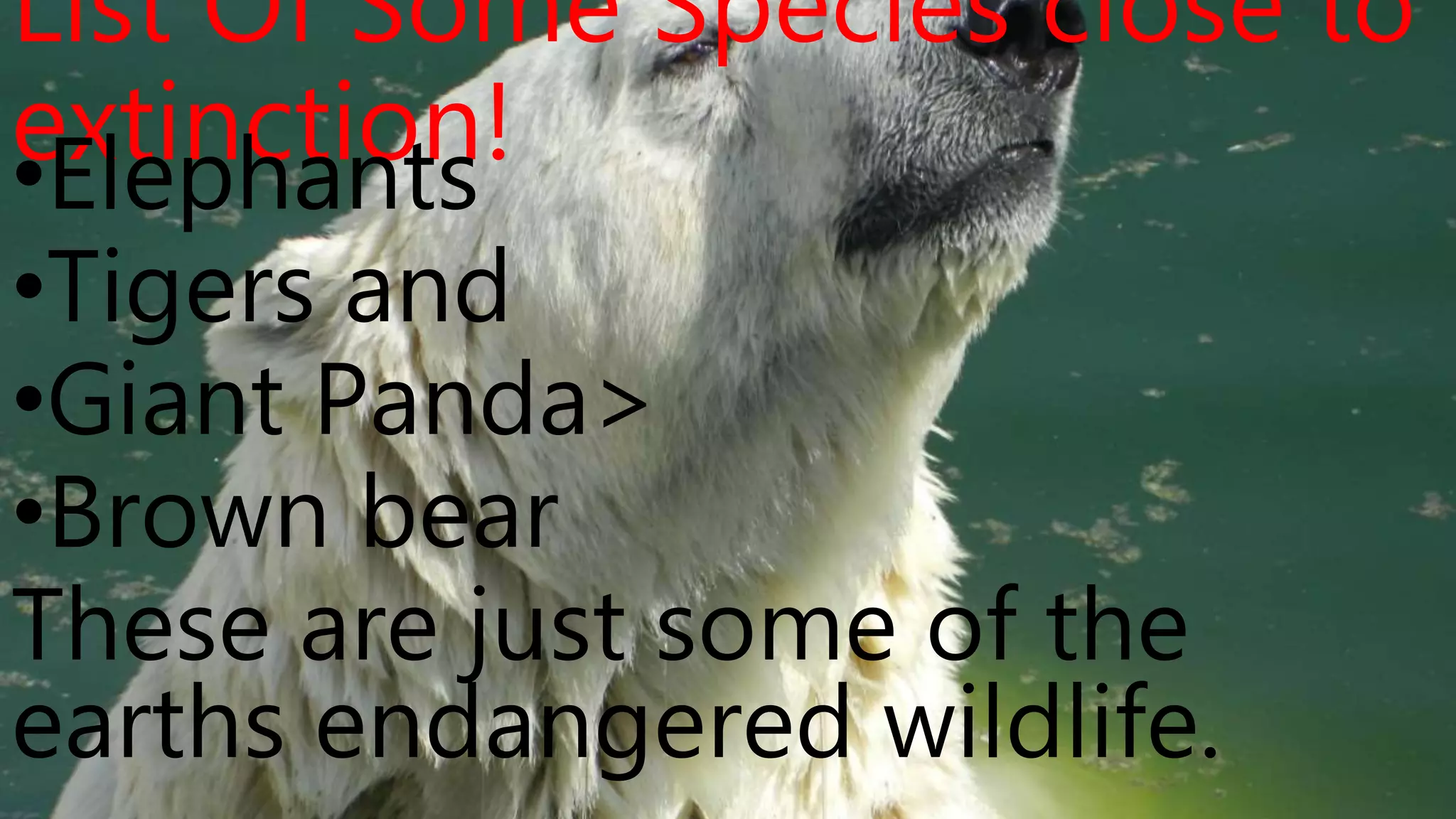 Endangered Species of Odisha and Punjab preserved in.pptx