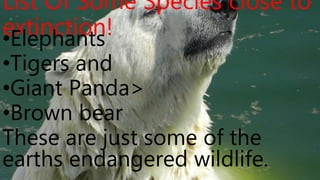 Endangered Species of Odisha and Punjab preserved in.pptx