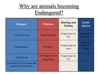 Endangered species of pakistan | PPT