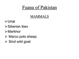 Endangered species of pakistan | PPT