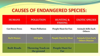 Endangered species of pakistan | PPTX