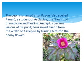 Endangered species of samos | PPS