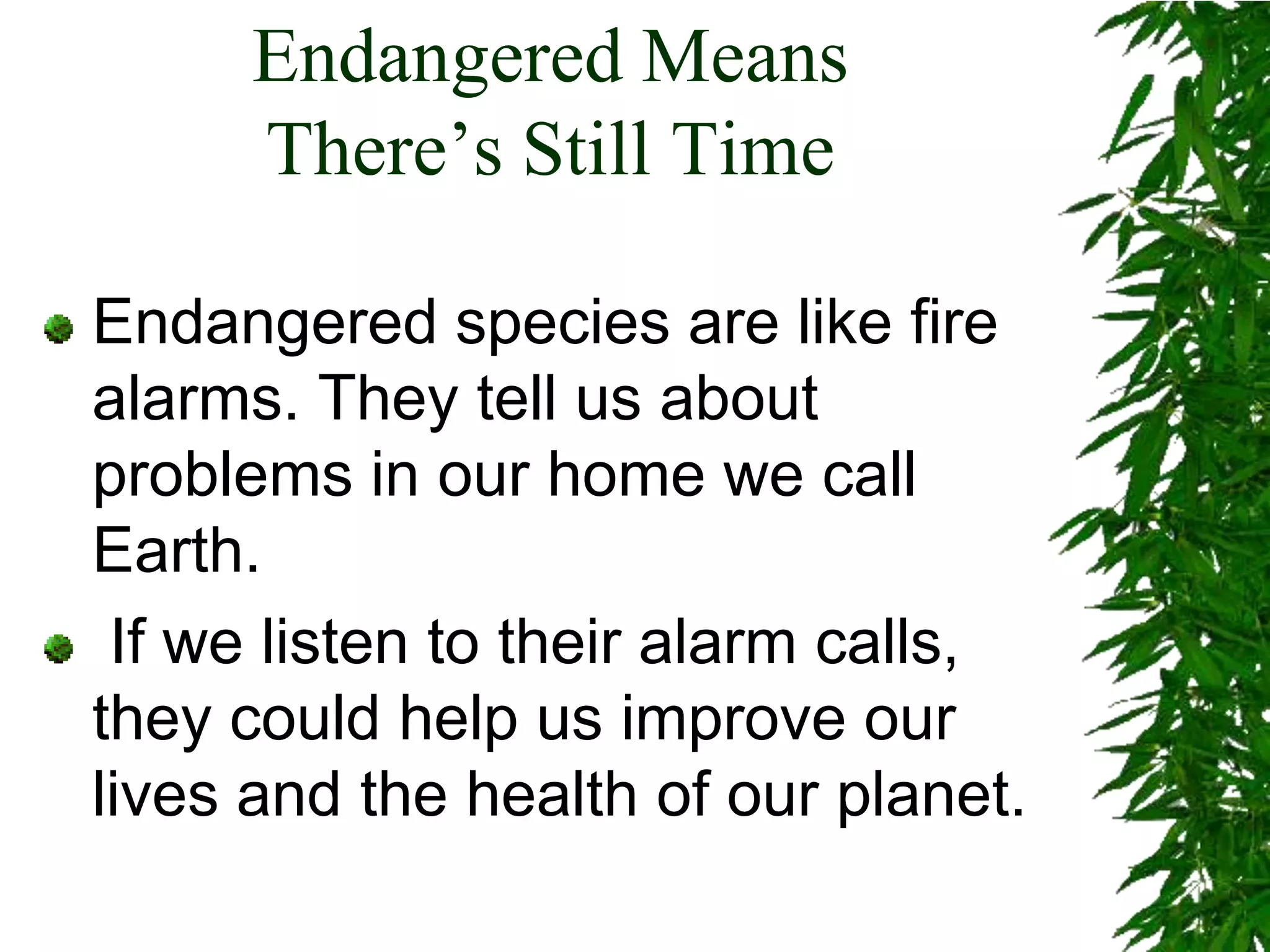 Endangered species powerpoint | PPTX