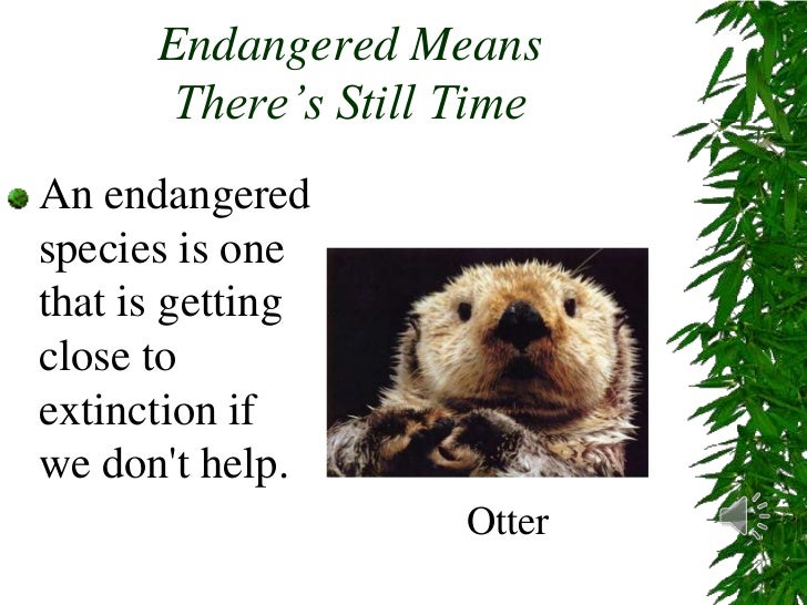 Endangered species powerpoint