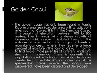 Endangered species powerpoint blog | PPTX