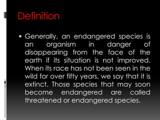 Endangered species powerpoint blog | PPTX