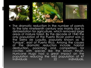 Endangered species powerpoint blog | PPTX