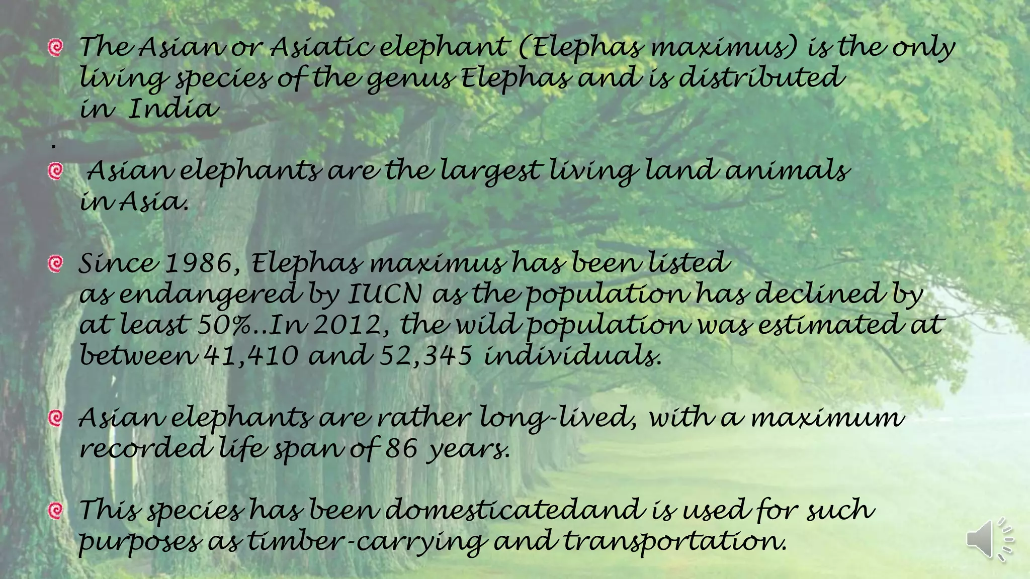 Endangered Species : Power Point Presentation | PPTX