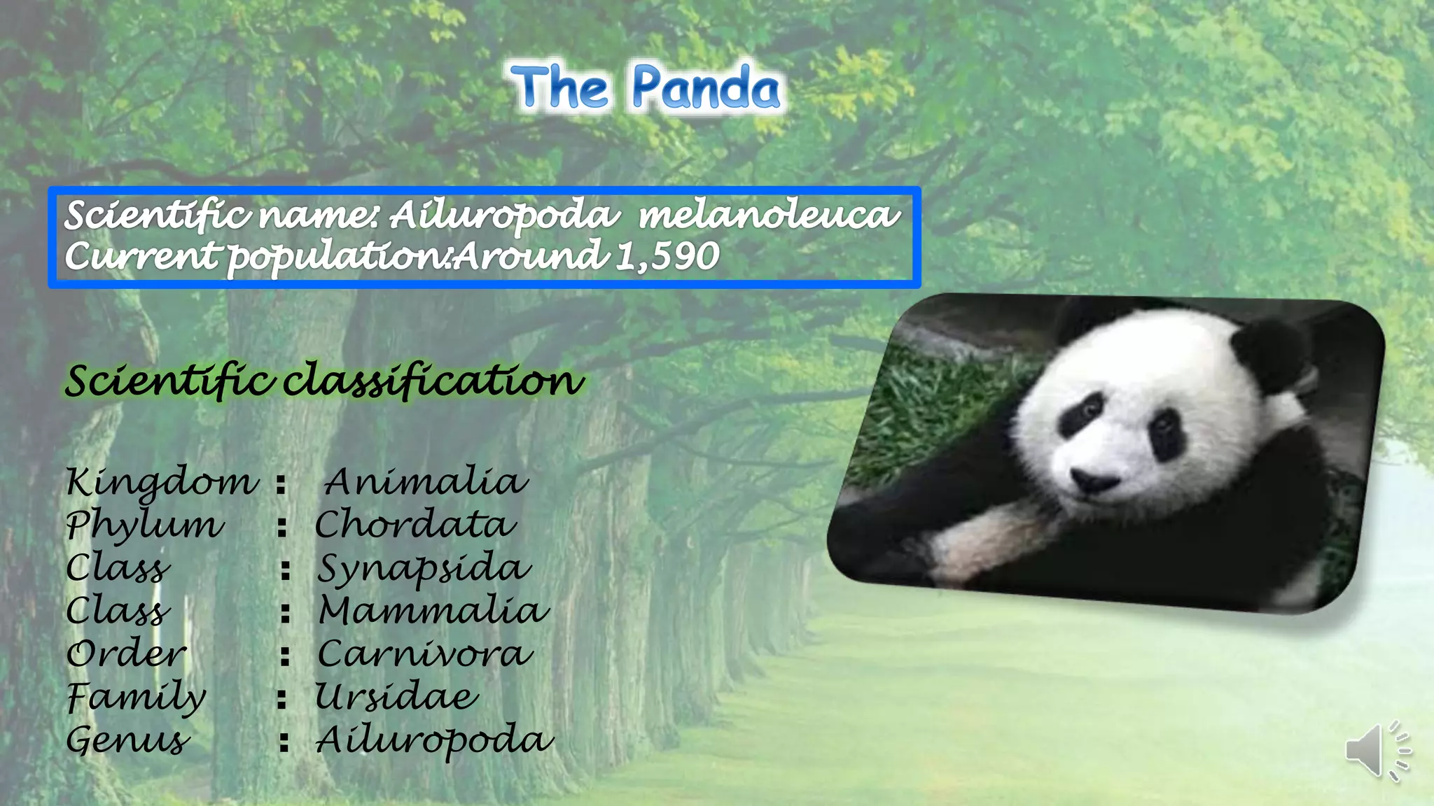 Endangered Species : Power Point Presentation | PPTX