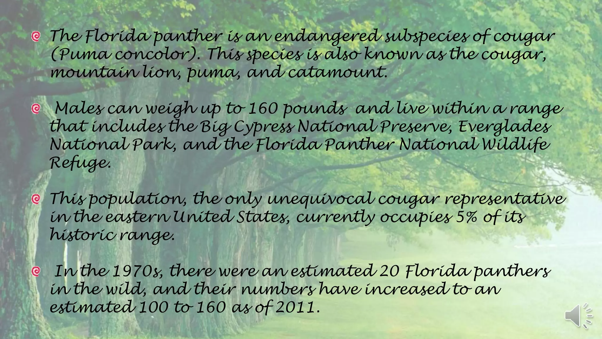 Endangered Species : Power Point Presentation | PPTX