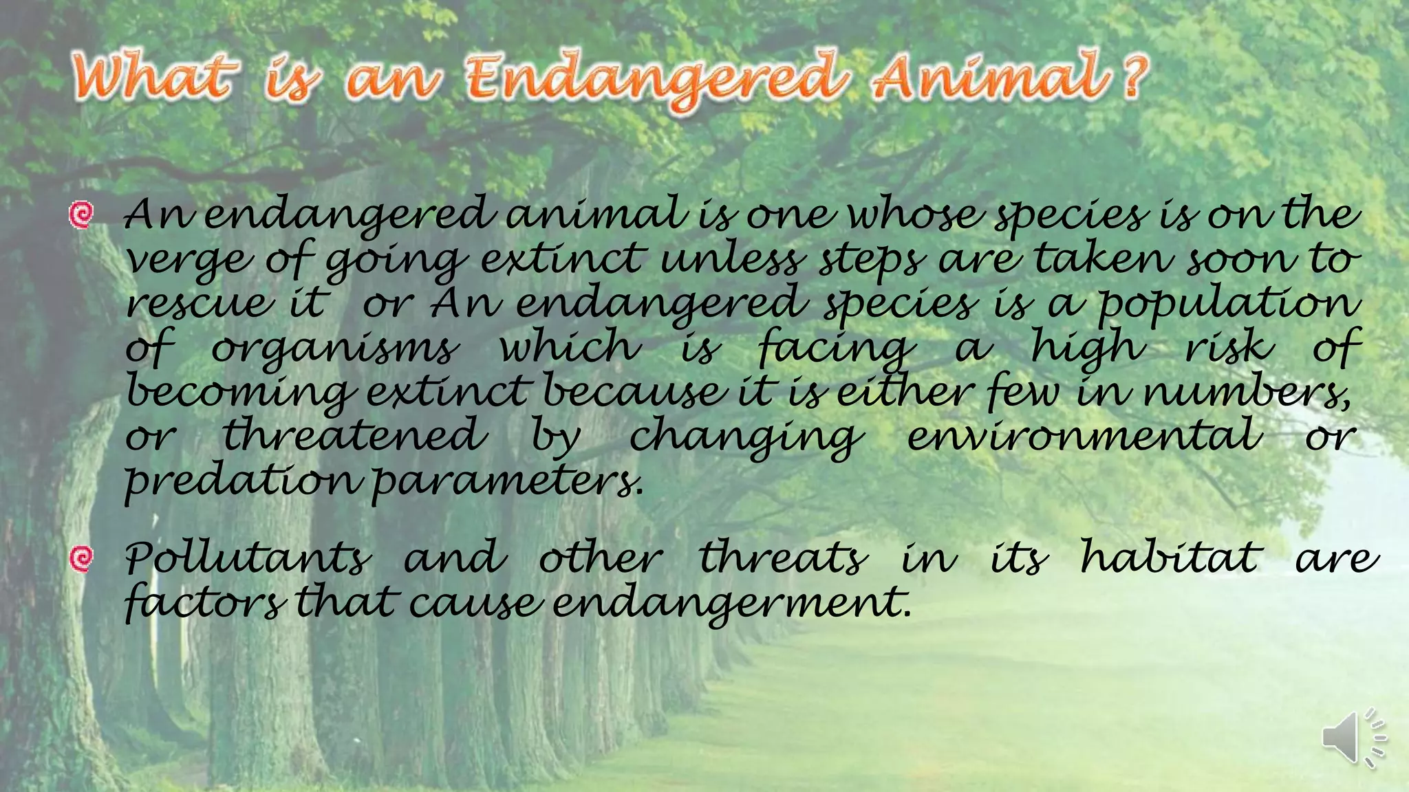 Endangered Species : Power Point Presentation | PPTX