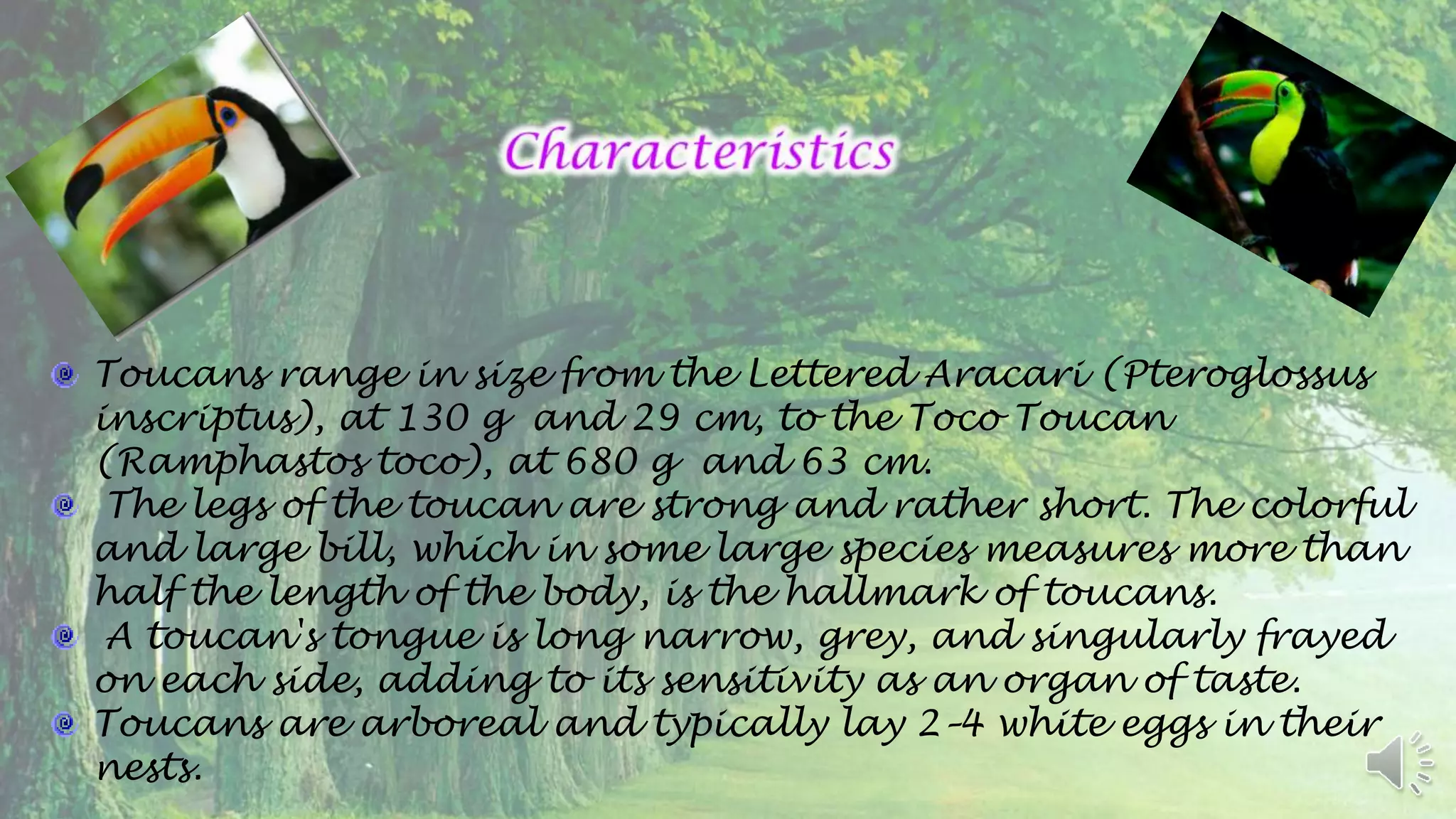 Endangered Species : Power Point Presentation | PPTX