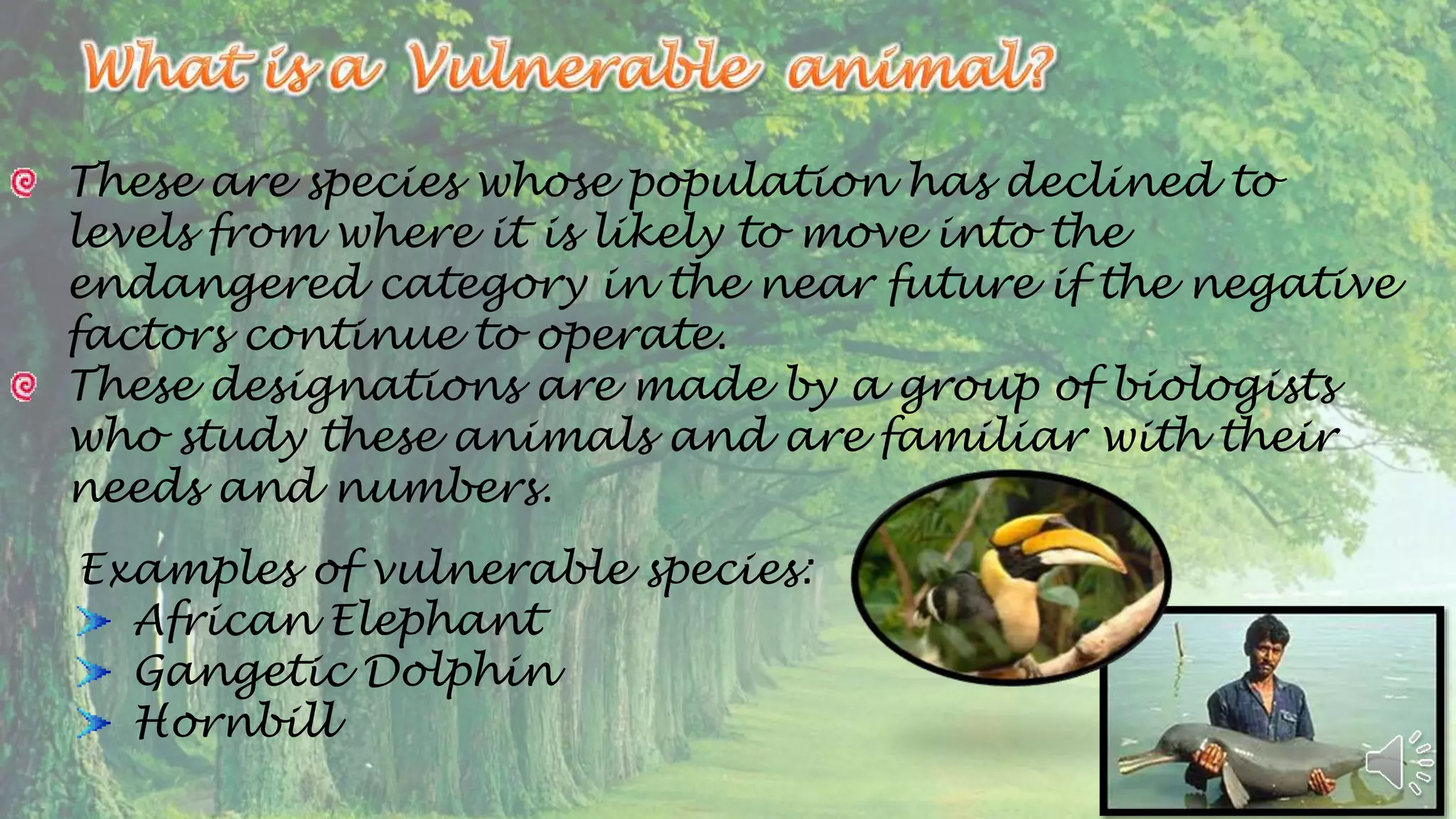 Endangered Species : Power Point Presentation | PPTX