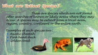 Endangered Species : Power Point Presentation | PPTX