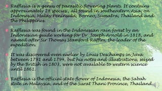 Endangered Species : Power Point Presentation | PPTX