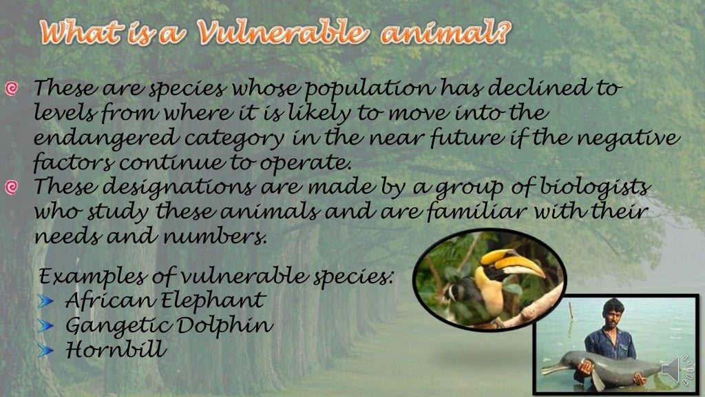 Endangered Species : Power Point Presentation
