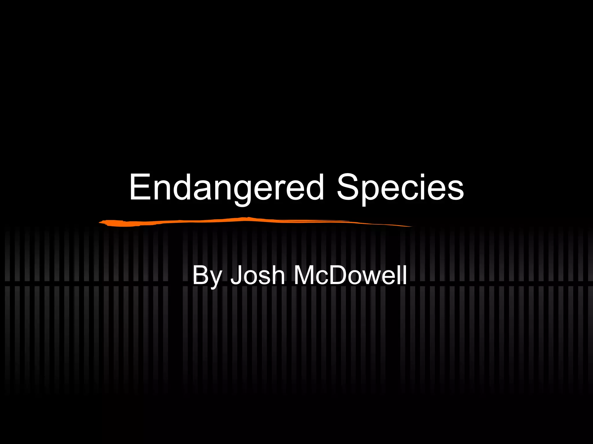Endangered Species Presentation | PPS