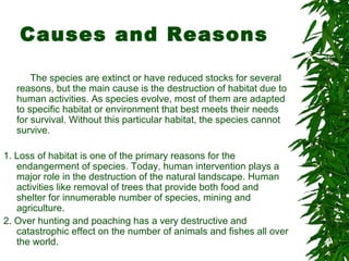 Endangered species presentation- | PPT