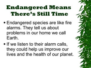 Marsida Elmazi. Endangered species presentation | PPT