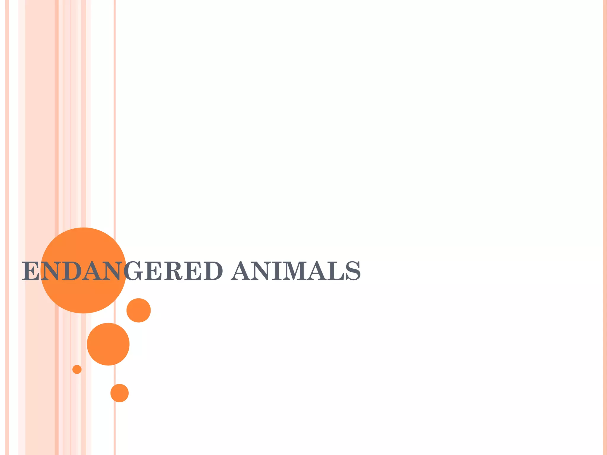 Endangered species presentation-1(1) (1) | PPT