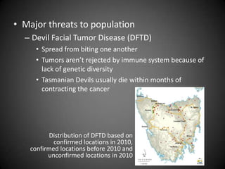 Endangered species presentation | PPT