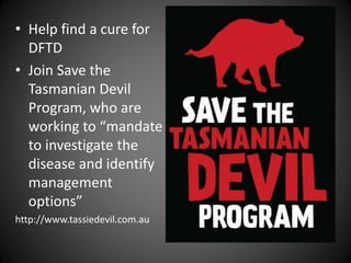 Endangered species presentation | PPTX