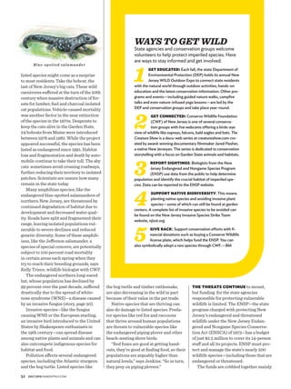 Endangered Zone | PDF