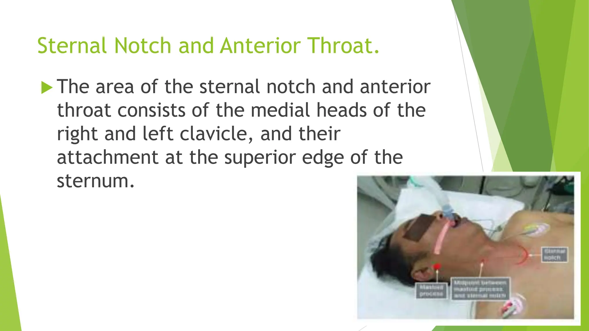 Endangerment sites in wellness massagesss | PPTX