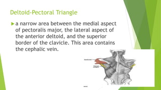 Endangerment sites in wellness massagesss | PPTX