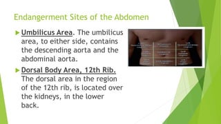 Endangerment sites in wellness massagesss | PPTX