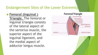 Endangerment sites in wellness massagesss | PPTX