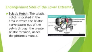 Endangerment sites in wellness massagesss | PPTX