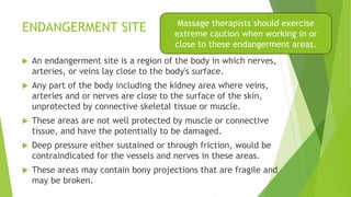 Endangerment sites in wellness massagesss | PPTX