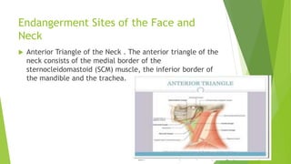 Endangerment sites in wellness massagesss | PPTX