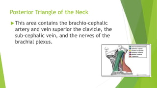 Endangerment sites in wellness massagesss | PPTX