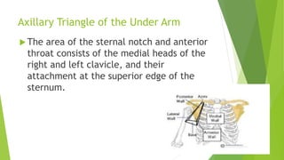 Endangerment sites in wellness massagesss | PPTX