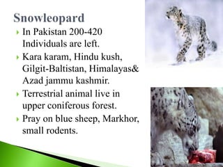 Endangered species | PPTX