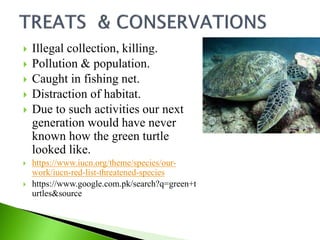 Endangered species | PPT