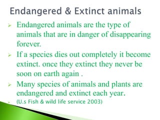 Endangered species | PPT