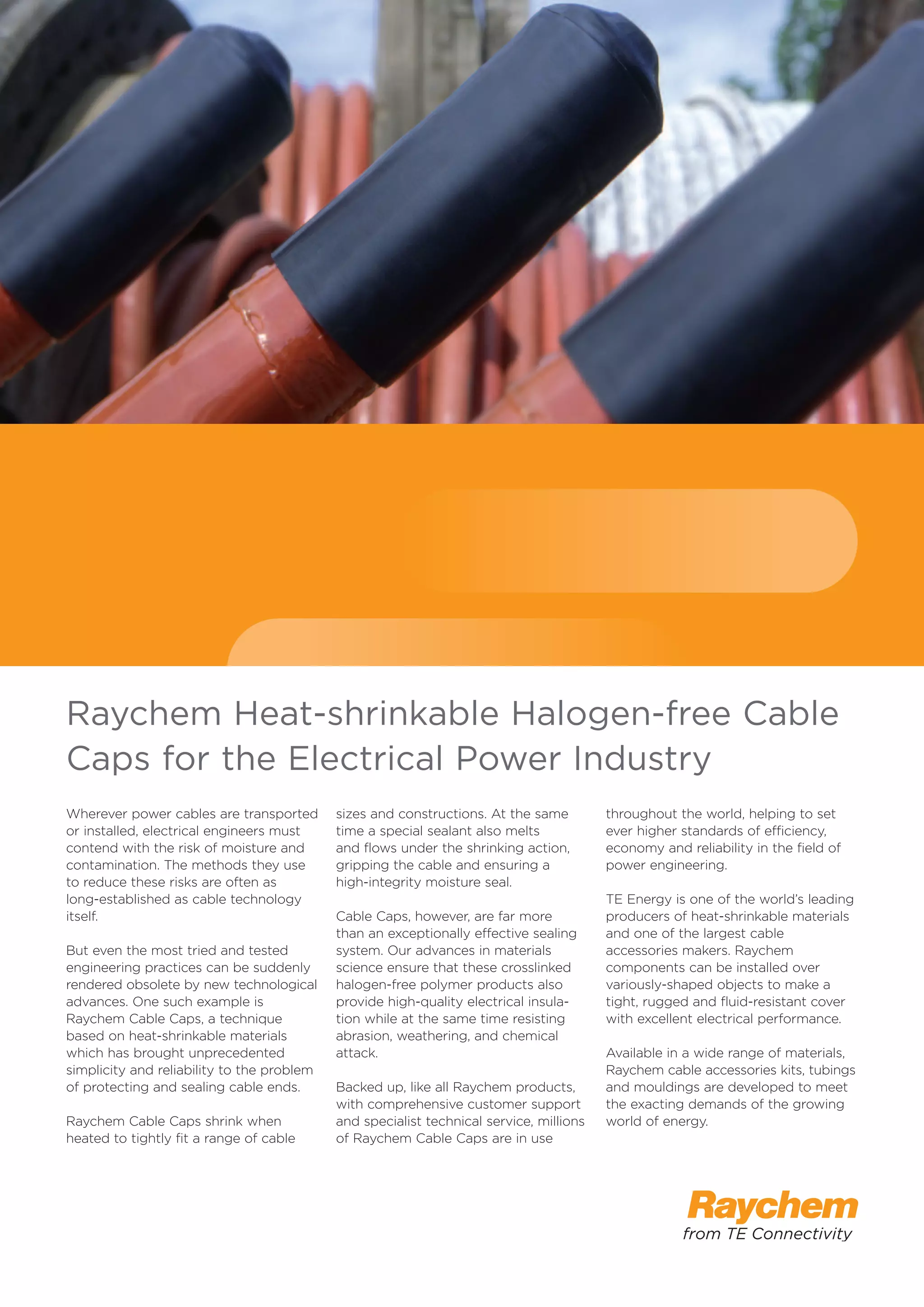 Raychem End cap | PDF